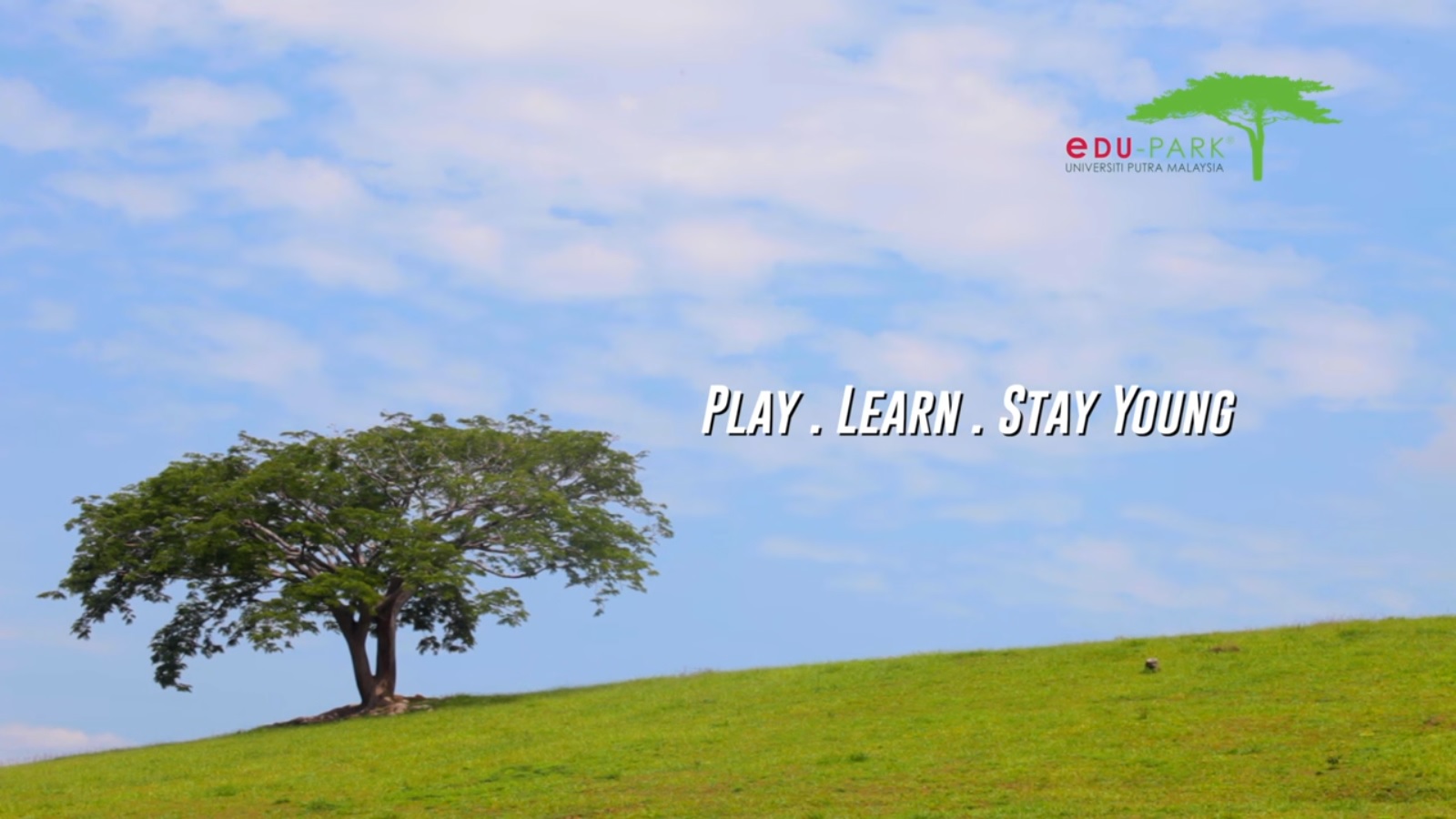 videoedupark